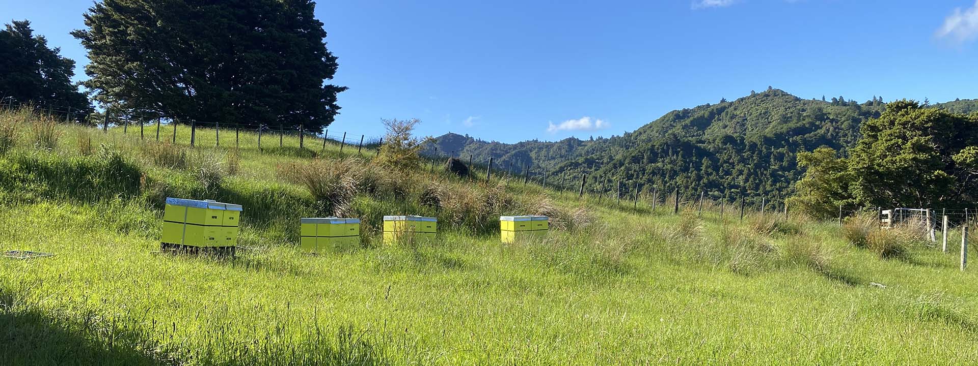 Locations – Beewell